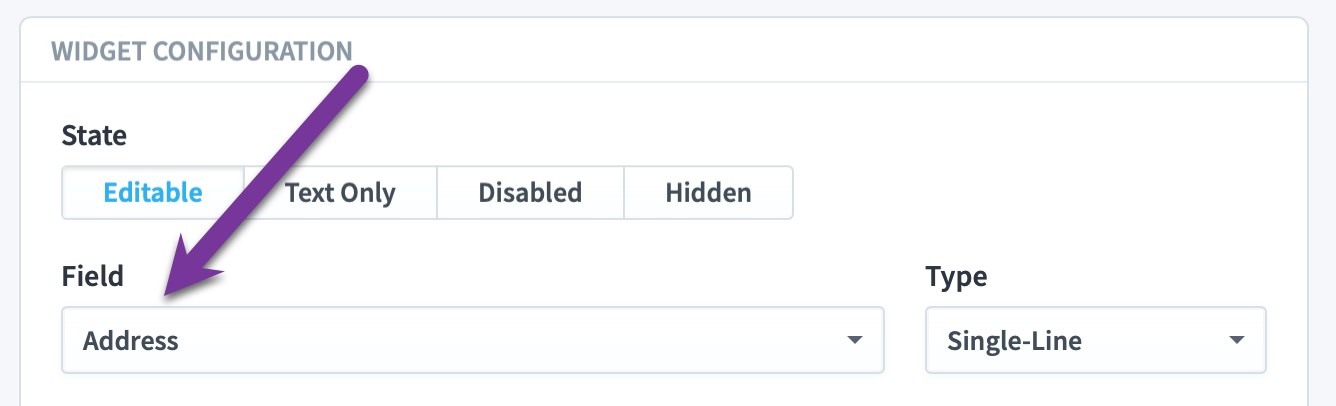 Single Field Widgets – Spider Strategies Support